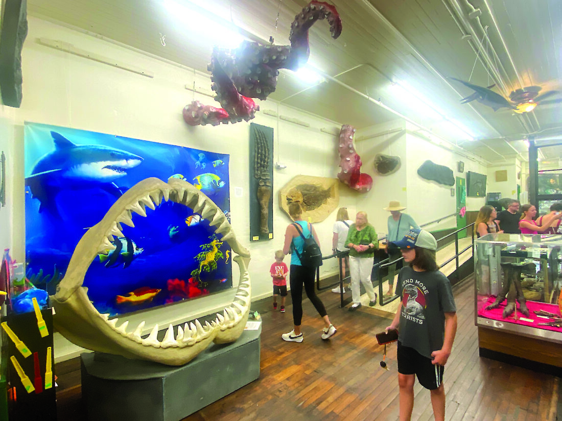 SMART Centre Market celebrates new home | News, Sports, Jobs - The ...